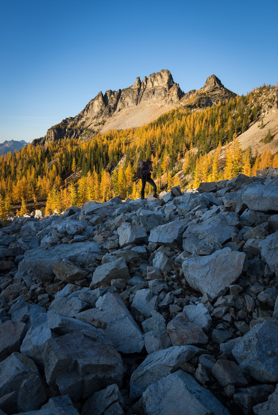 Reflections of Bird Lakes - A Photographic Essay on Flight, Quiet, and ...