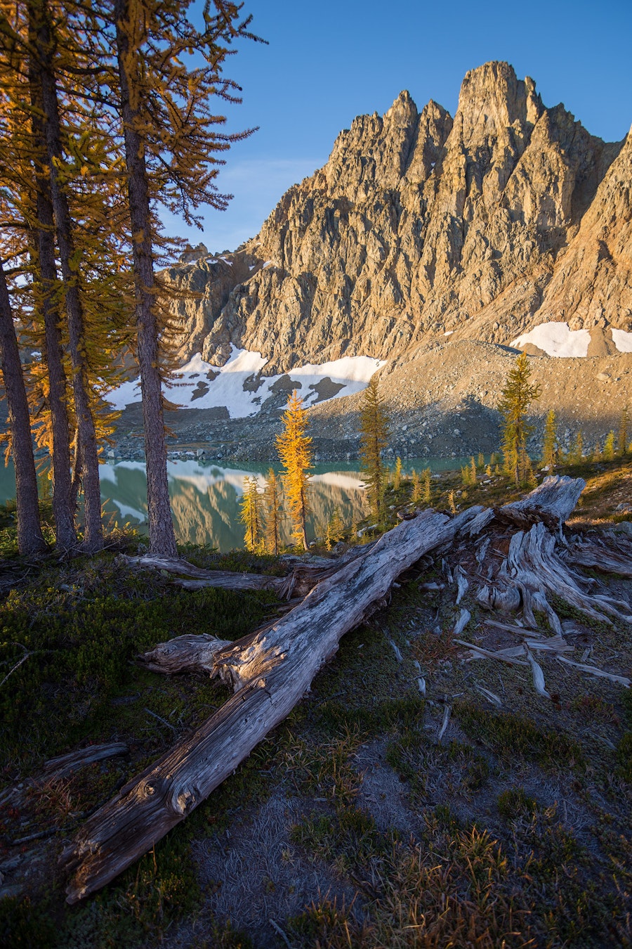 Reflections of Bird Lakes - A Photographic Essay on Flight, Quiet, and ...