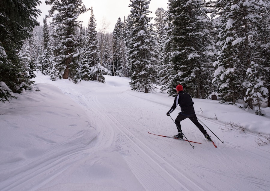 Why You Should Try Cross-Country Skiing This Winter