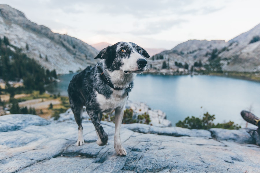 A Visual Journey to the Ritter Range