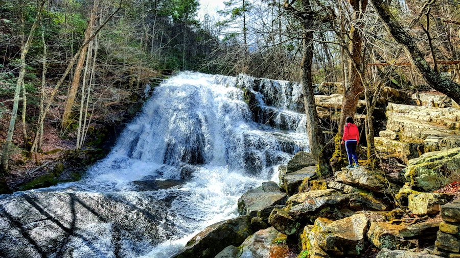 5 Virginia Waterfalls to Chase This Winter