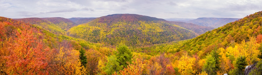 7 Essential Techniques for Creating Amazing Panoramic Images