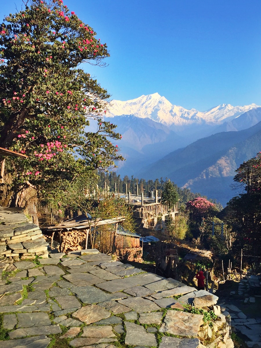 The Ultimate Guide to Trekking in Nepal