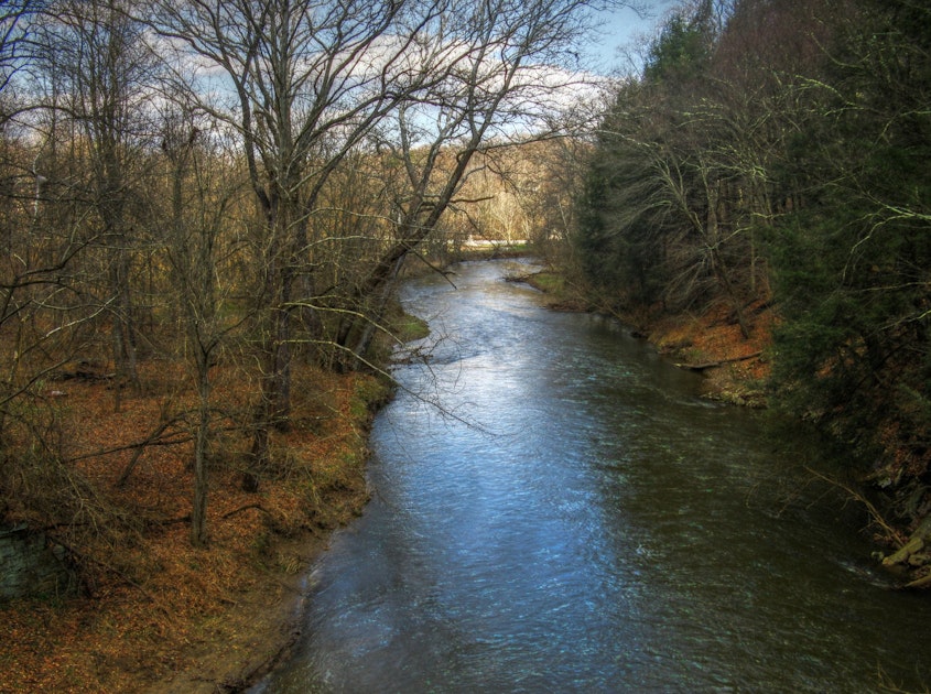 Hike the Ranger Trails at Codorus State Park, Codorus State Park