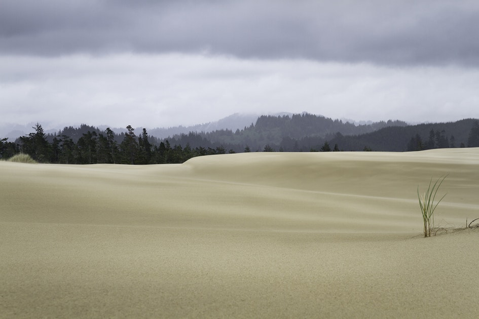 Tyee Campground (Umpqua River)