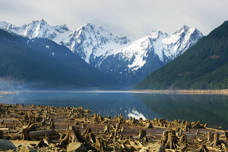 Camp at Jones Lake, Jones Lake, BC