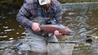 Fly Fish on the Rapidan River, Graves Mill Parking Area